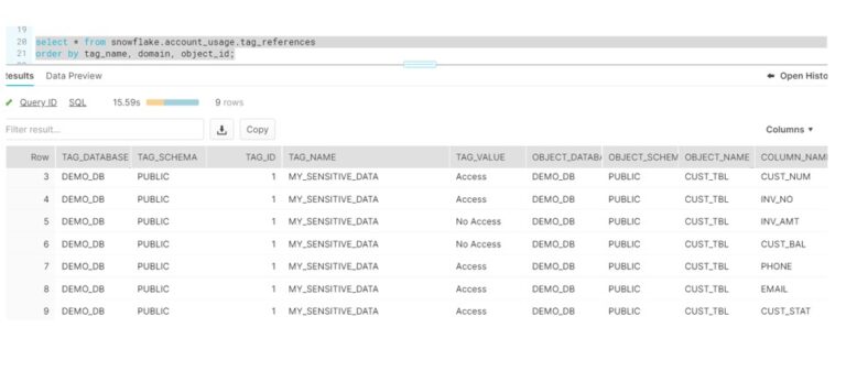 Object tagging with Dynamic Masking - Cloudyard