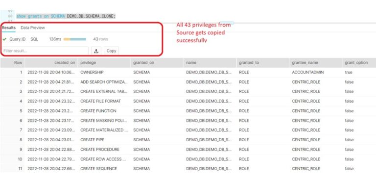 Cloning:Schema Object Privileges - Cloudyard
