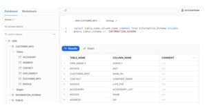 Add Column Comments Dynamically - Cloudyard